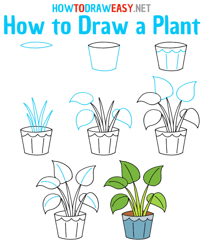 How to Draw a Plant - How to Draw Easy