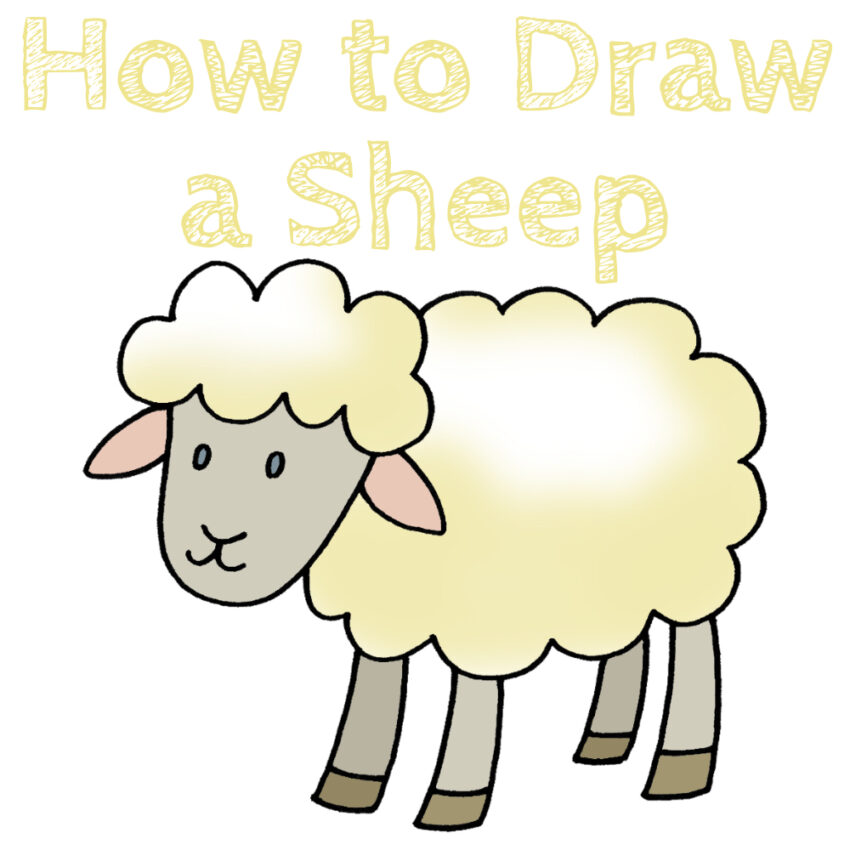 How to Draw a Sheep - How to Draw Easy