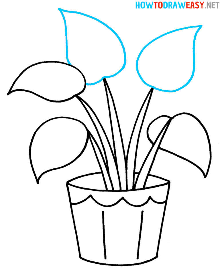How to Draw a Plant - How to Draw Easy