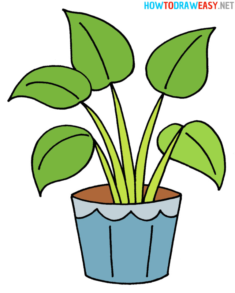 How to Draw a Plant - How to Draw Easy