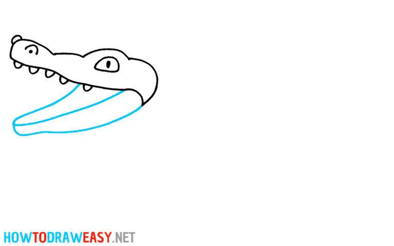 How to Draw a Crocodile Step by Step - How to Draw Easy