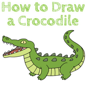 How to Draw a Crocodile Step by Step - How to Draw Easy
