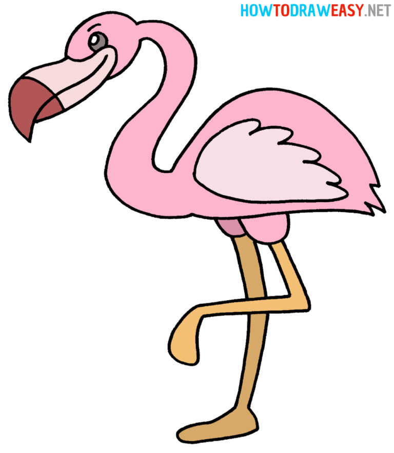 How to Draw a Flamingo - How to Draw Easy