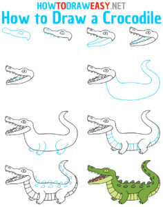 How to Draw a Crocodile Step by Step - How to Draw Easy