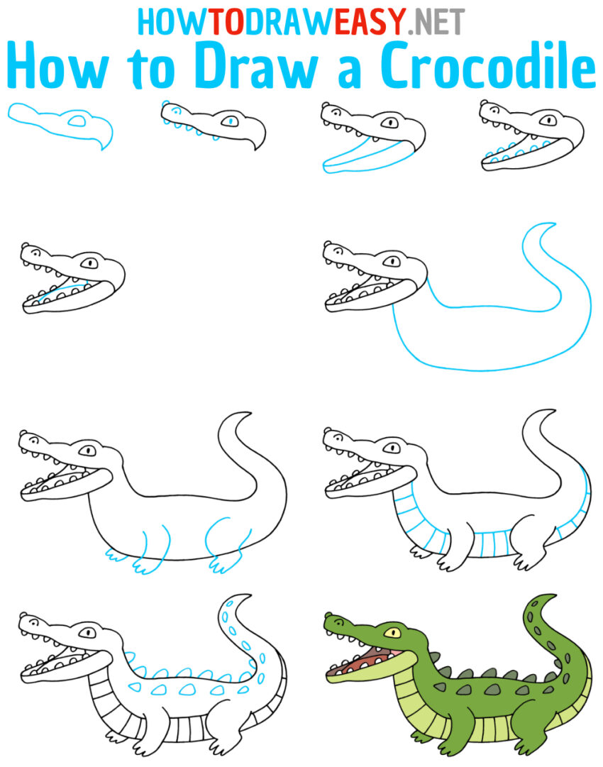 How to Draw a Crocodile Step by Step - How to Draw Easy