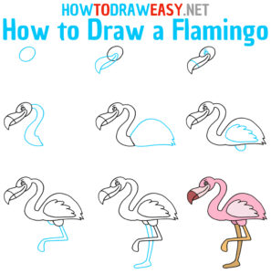 How to Draw a Flamingo - How to Draw Easy
