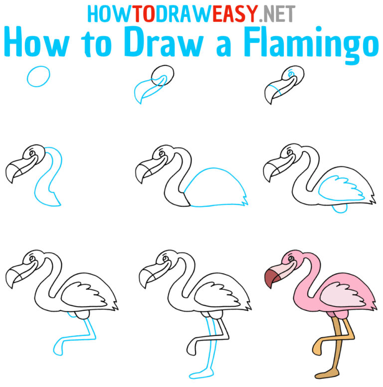 How to Draw a Flamingo - How to Draw Easy