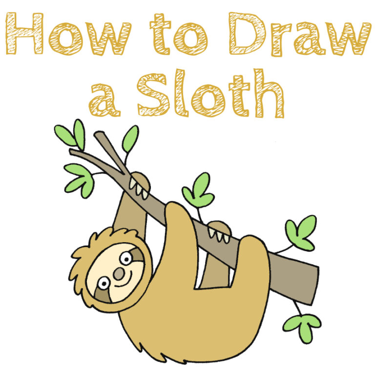 How to Draw a Sloth - How to Draw Easy