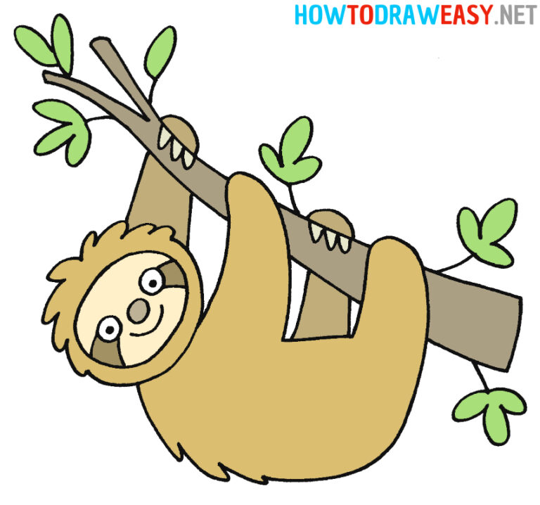 How to Draw a Sloth - How to Draw Easy