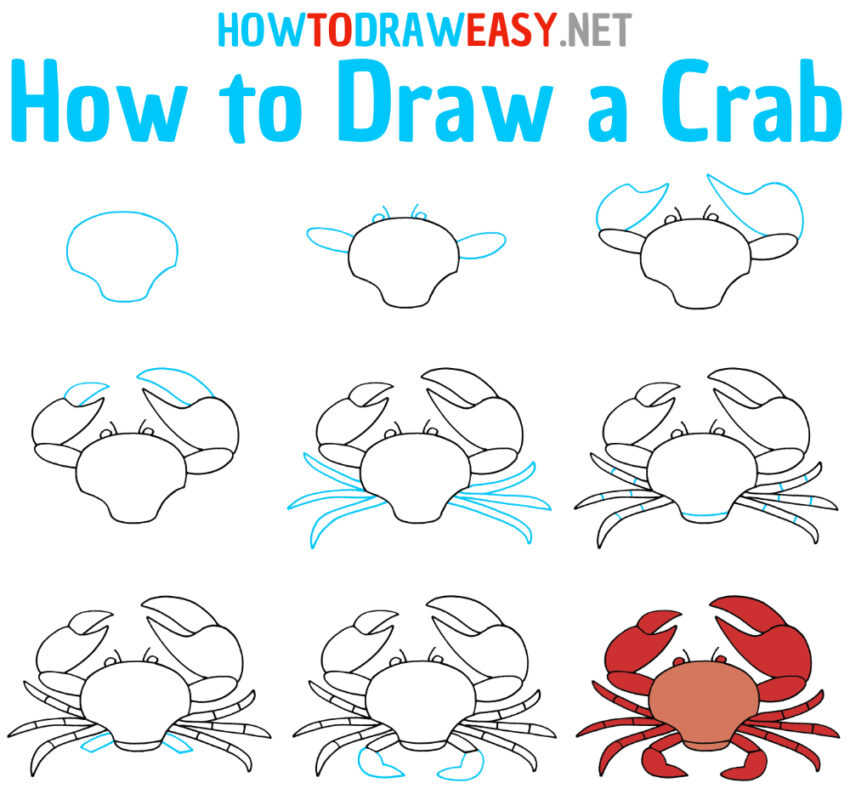 How to Draw a Crab - How to Draw Easy