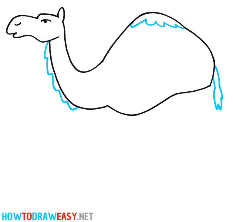 How to Draw a Camel - How to Draw Easy