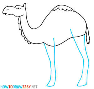 How to Draw a Camel - How to Draw Easy