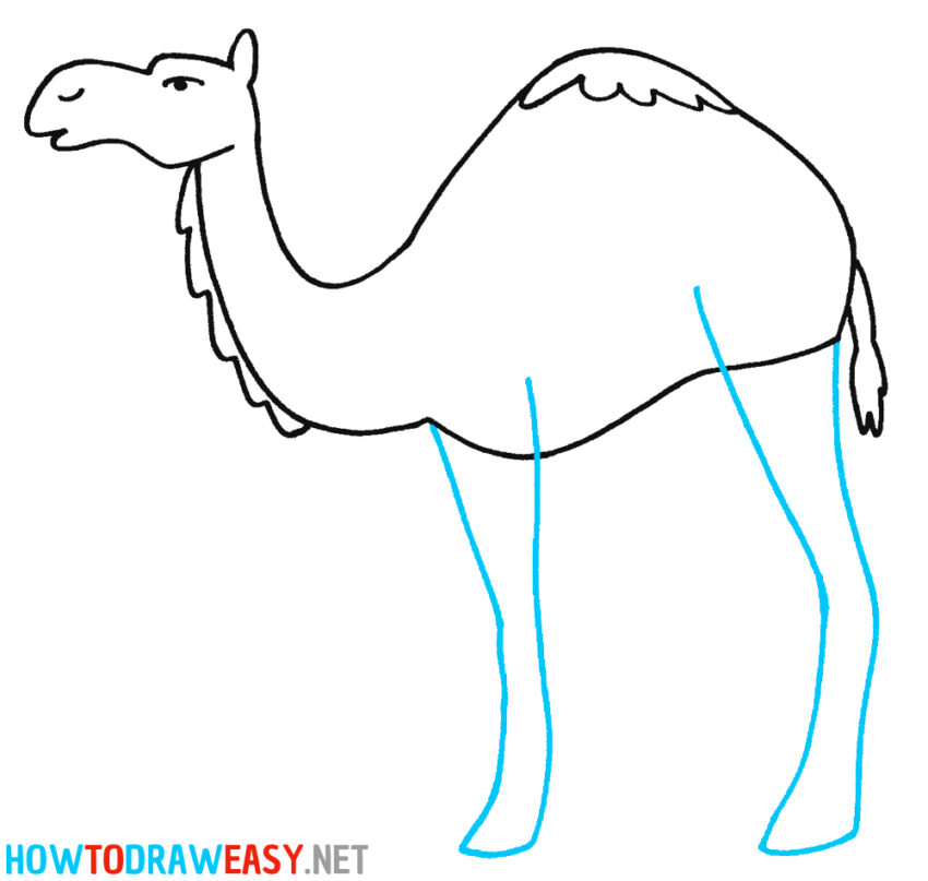 How to Draw a Camel - How to Draw Easy