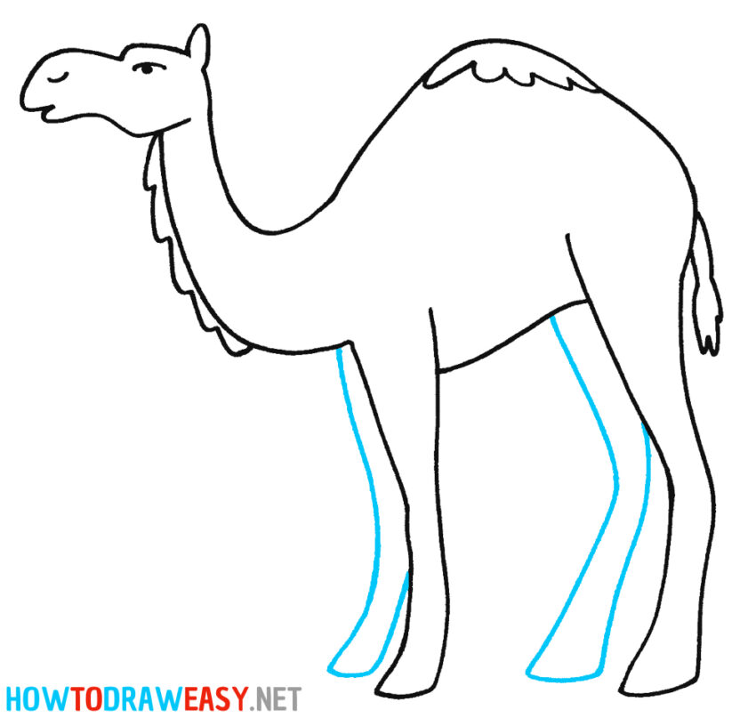 How to Draw a Camel - How to Draw Easy