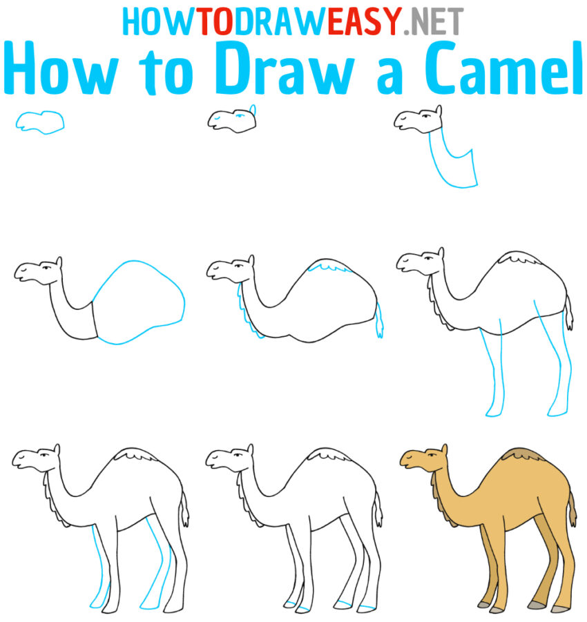 How to Draw a Camel - How to Draw Easy