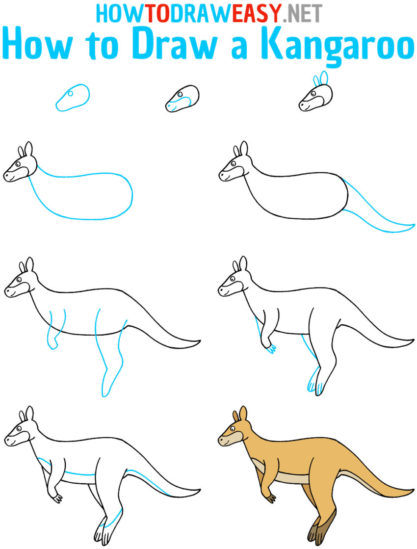 How to Draw a Kangaroo - How to Draw Easy