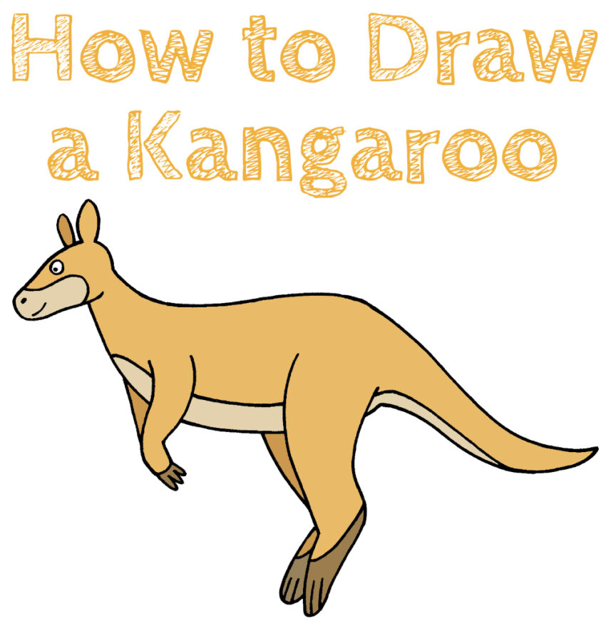 How to Draw a Kangaroo - How to Draw Easy